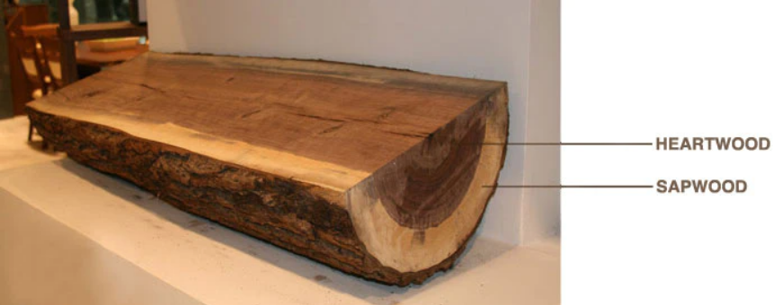Walnut - Bob Aungst Cabinet Sales